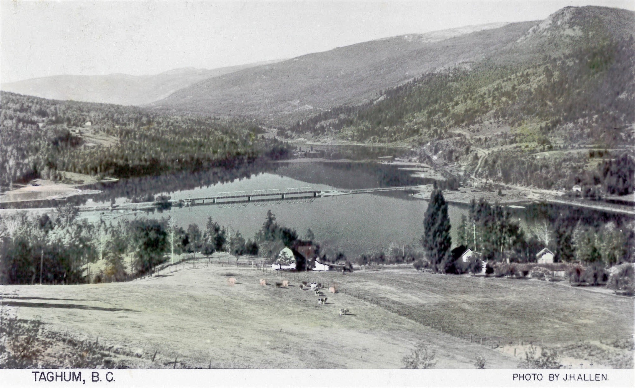Taghum Footbridge Society